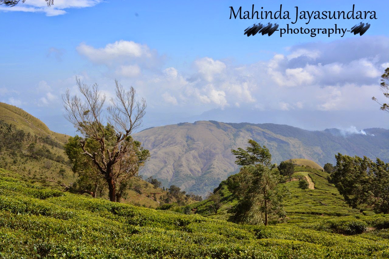 Nagrak Bungalow: Nagrak Bungalow Sri Lanka
