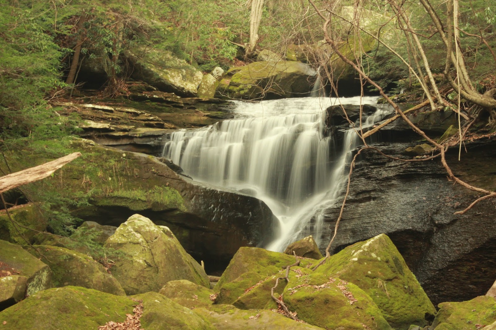 Cumberland Gal: Rock Castle Gorge, Mountainview Arch & Falls ...