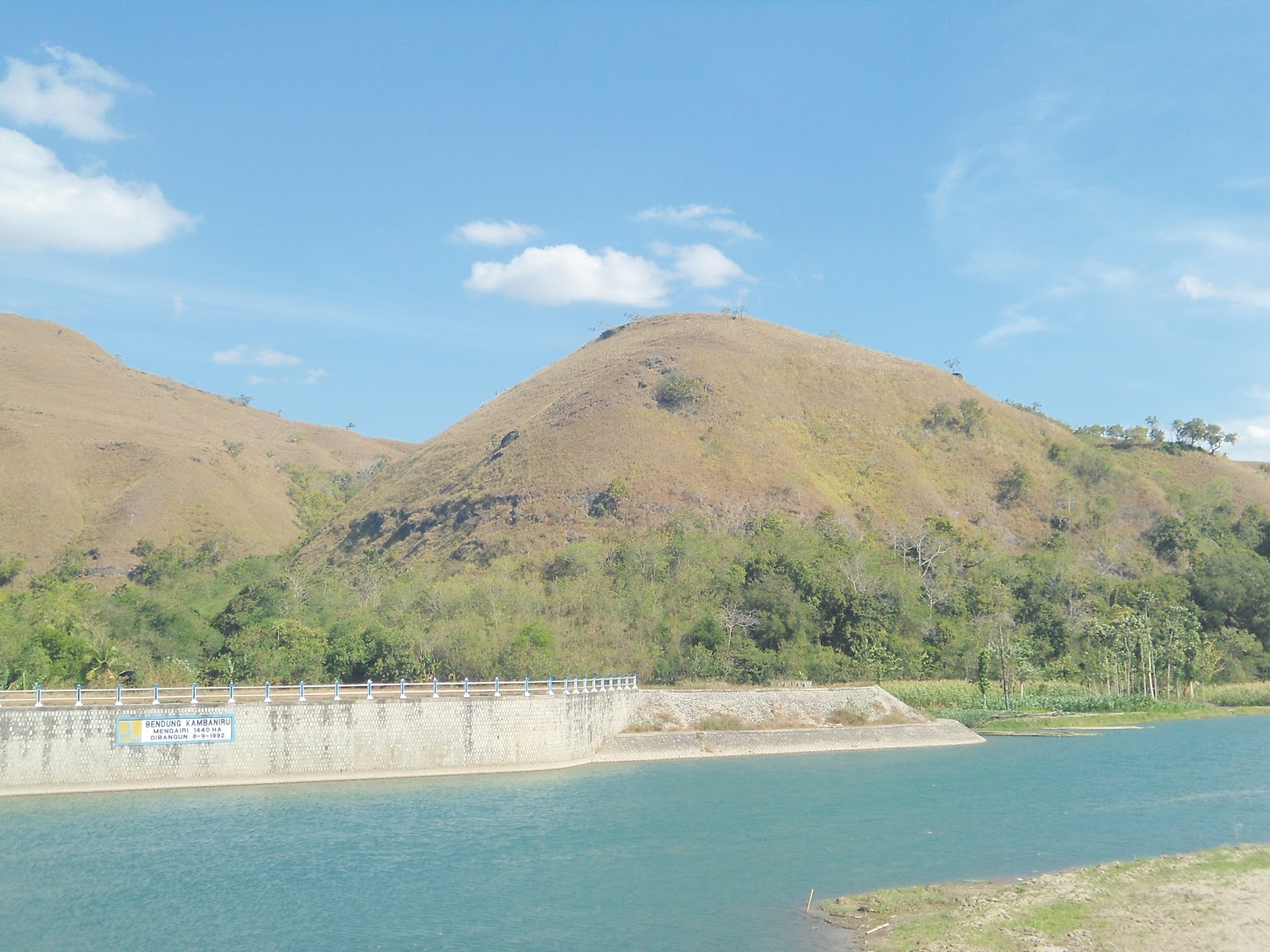 kabar dari Forum DAS (ForDAS) NTT