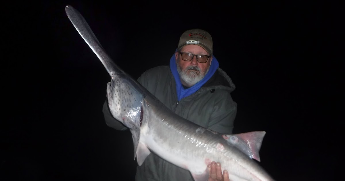 Steven outside: pinocchio fish