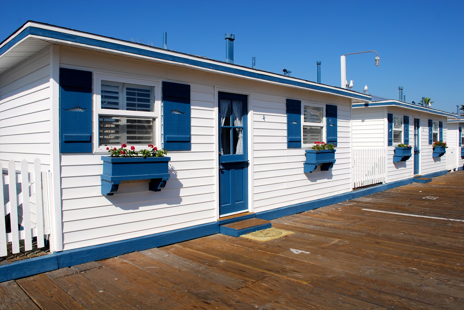 Wanderlust Traveler: San Diego, California (Sightseeing)