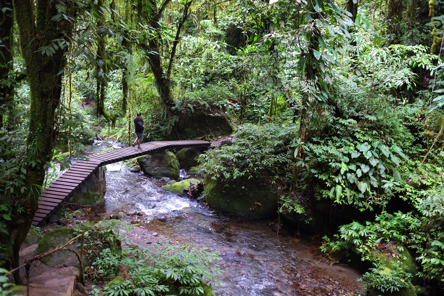 Appreciating nature at Paniki Falls Eco-River Park in Kidapawan City ...