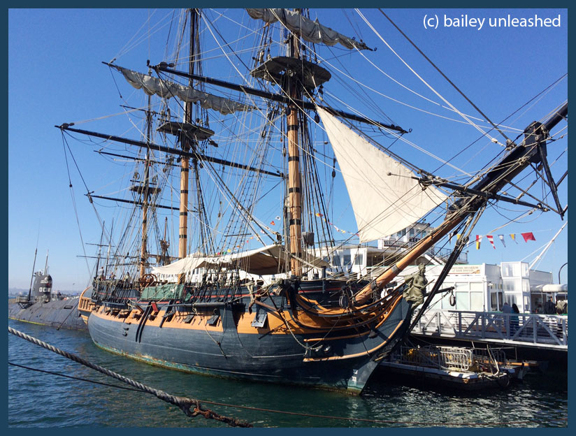 bailey unleashed .com: {this moment} see beautiful: hms surprise