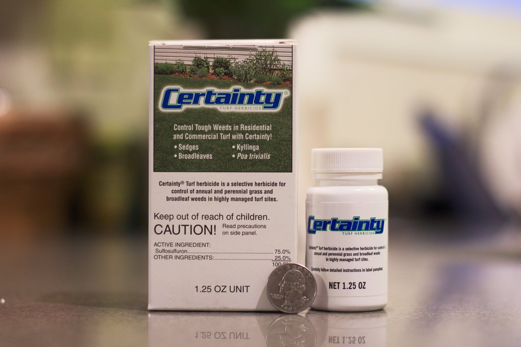 Adventures In Gardening: Certainty