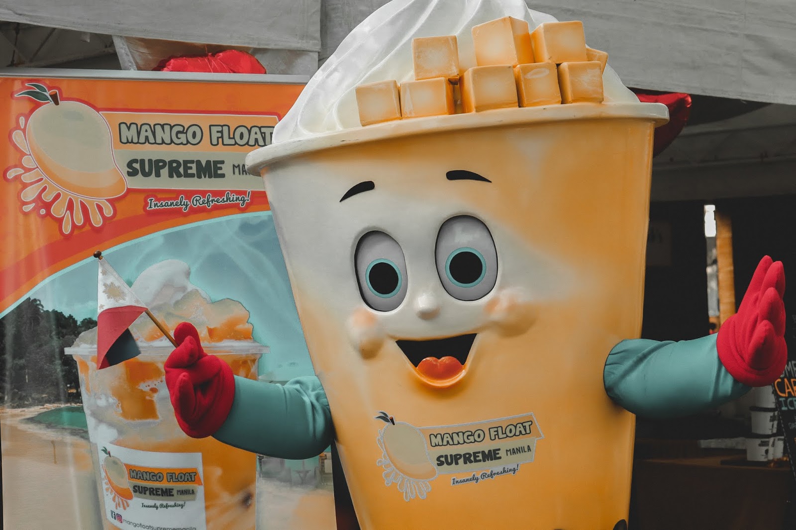 Mango Float Supreme in Greenfield District, Mandaluyong - Diane Loresca ...