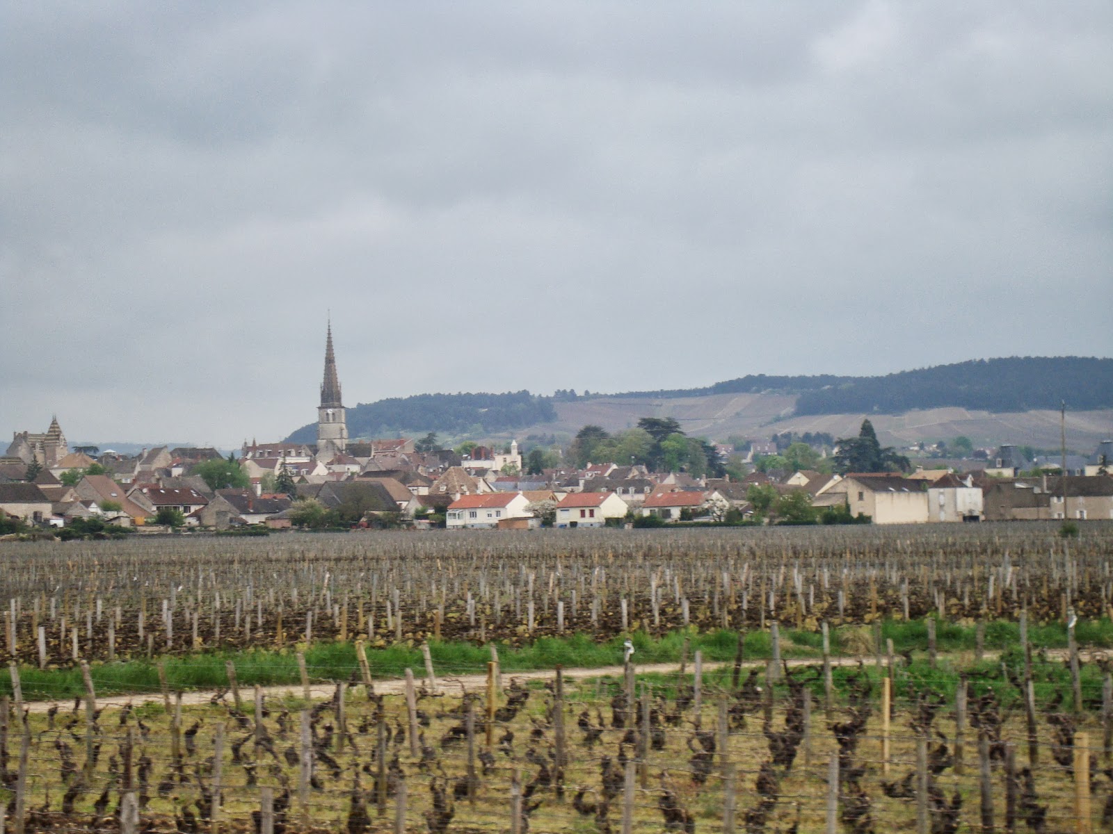 European Dreaming: Day 15 Mersault & Beaune