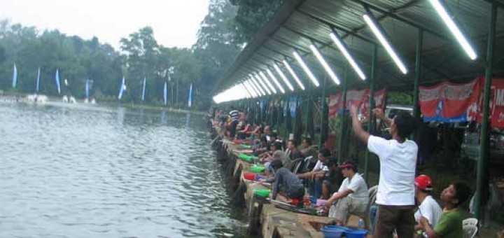 Tips Mancing Ikan Mas Paling Mudah, Langsung Jadi Pemancing Profesional