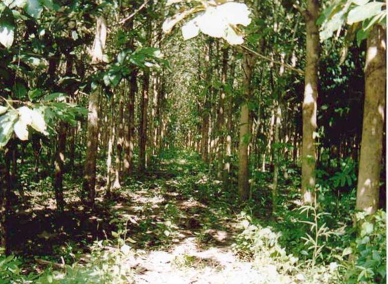 EXPLORE THE WORLD: Burma (Myanmar); the Country Which Knows No Human Rights