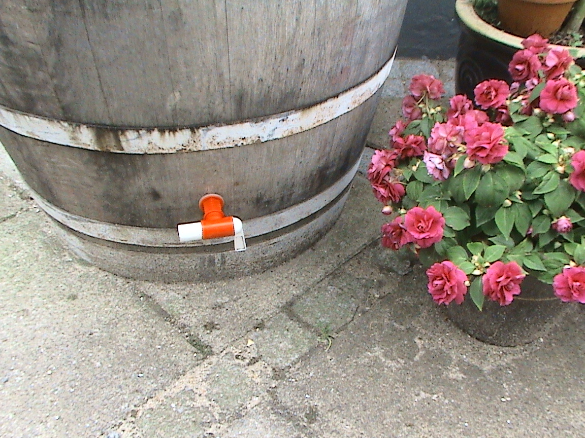 Birgitte på nettet: Opsamling af regnvand