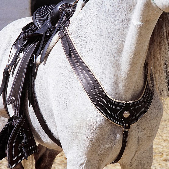 HORSE WORLD: EQUIPO PARA CABALLOS