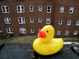 Topical Tens: January 13: Rubber Duckie Day