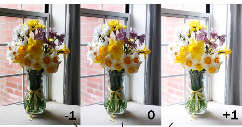 Boost Your Photography: Explaining Exposure and Exposure Compensation