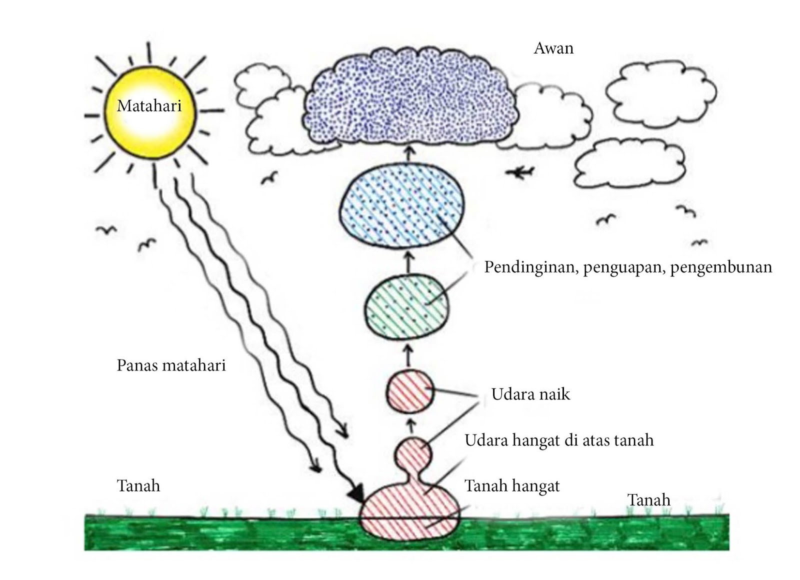 Ririn Safitri: Terbentuknya Awan