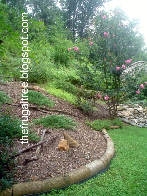 The Frugal Tree: A Decorative Landscaping Border