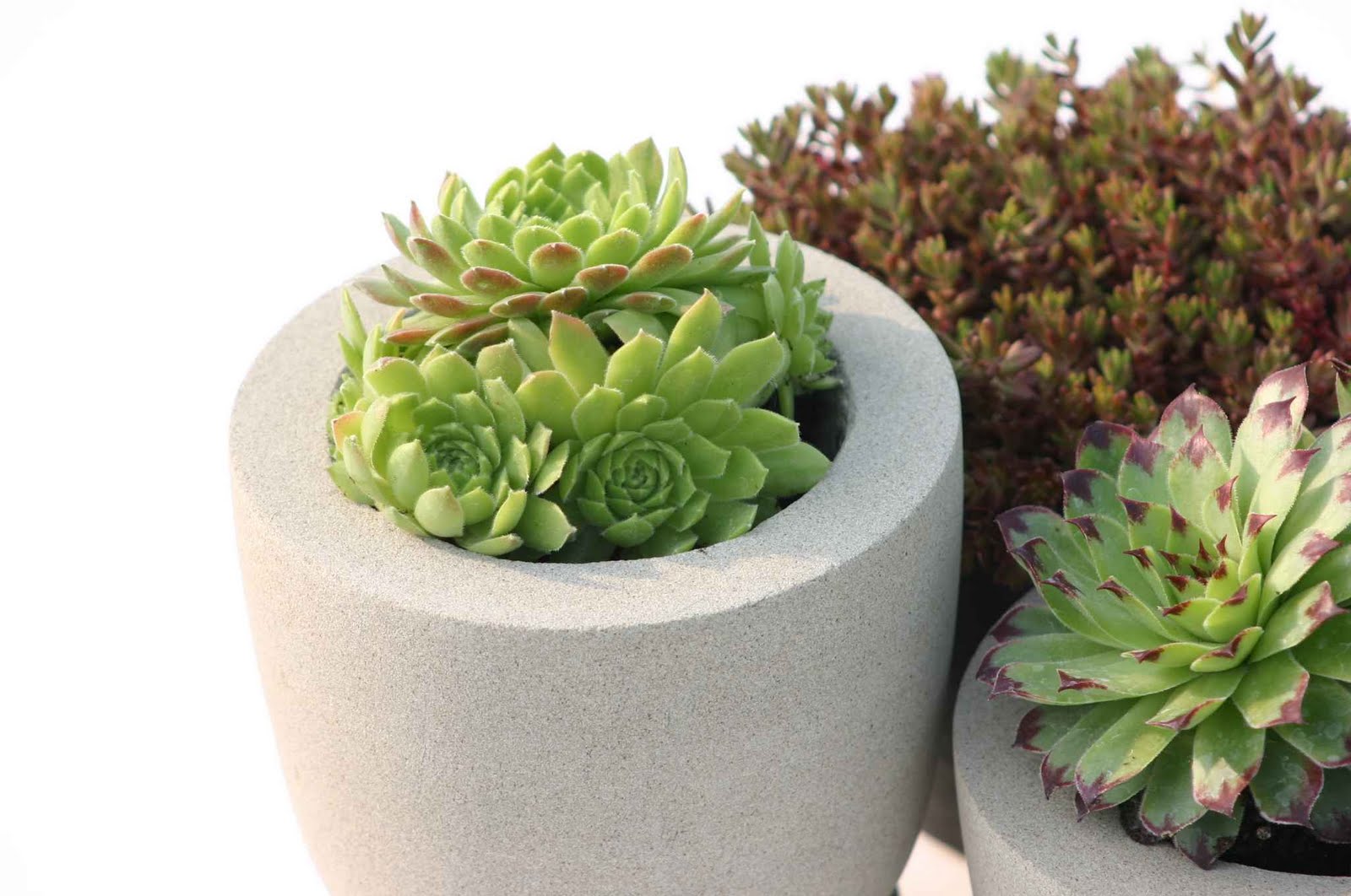 Jennifer Tetlow - Stone Sculpture Journal: Stone Crucible Planter