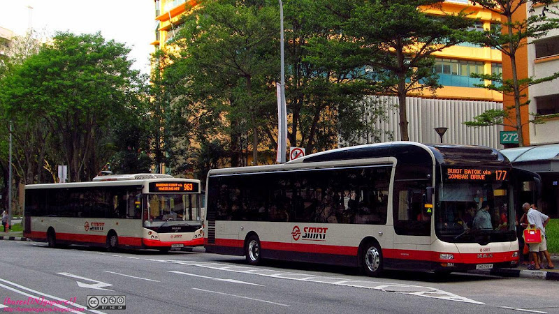 (buses[IN]gapore!): SMRT Buses : MAN NG363F A24/Gemilang (licensed Lion ...