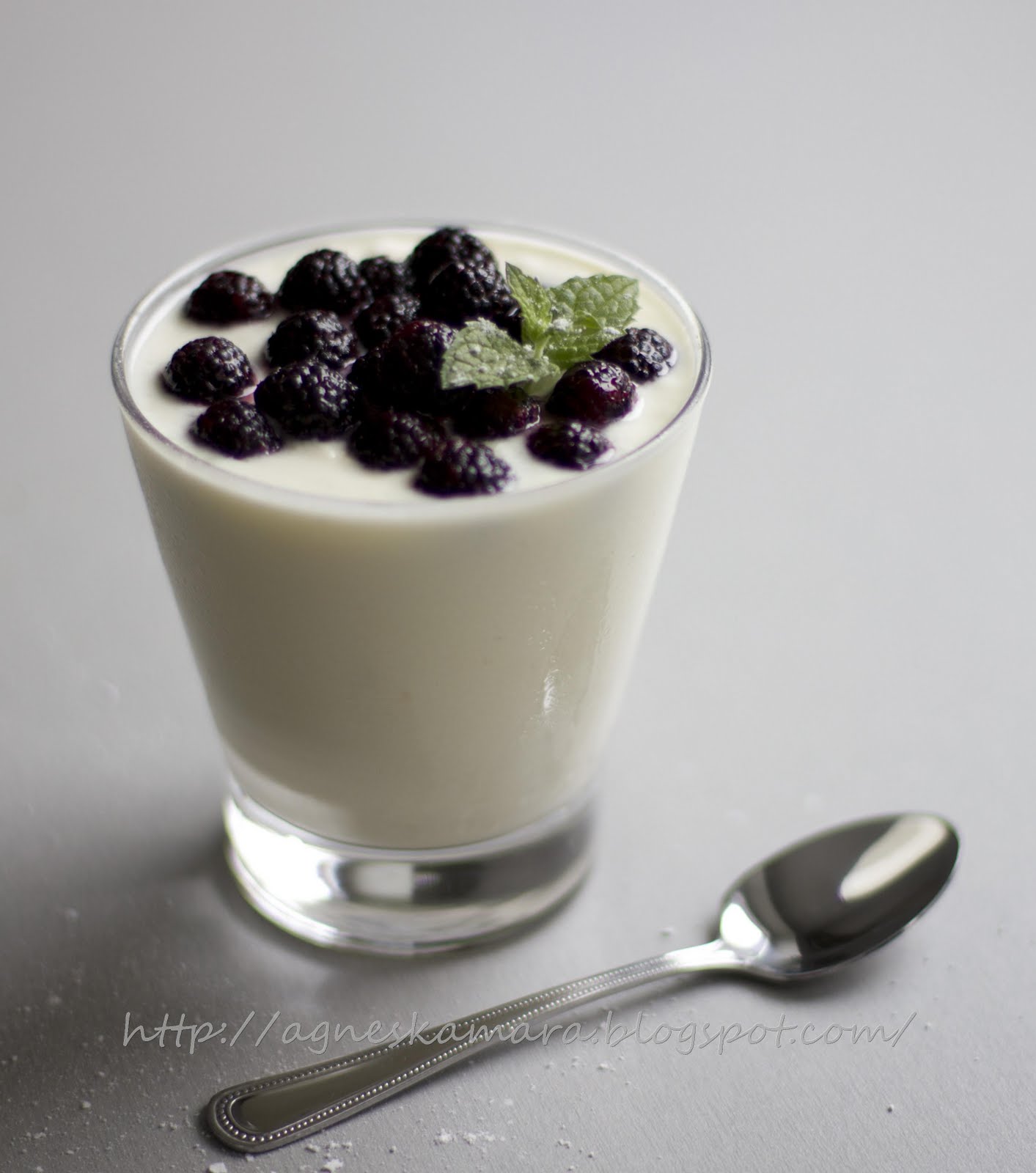 Naminis jogurtas su uogomis