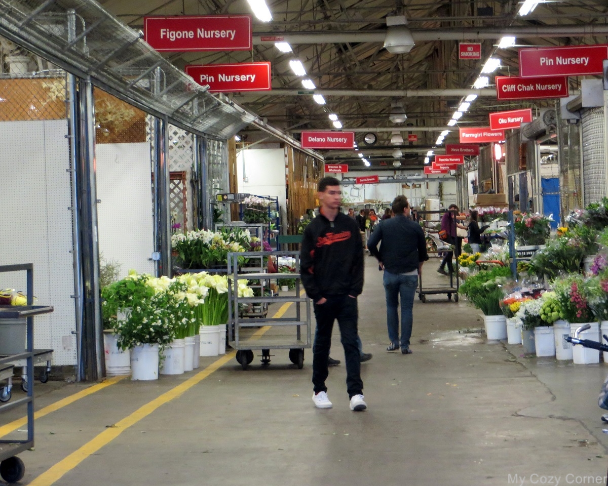 My Cozy Corner: Visit to San Francisco Flower Mart