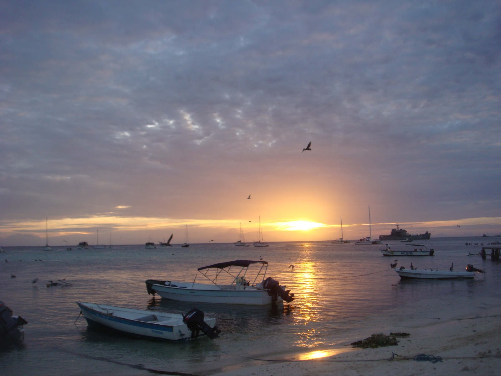 Dicas de viagem para Los Roques, na Venezuela - Renata Viaja...