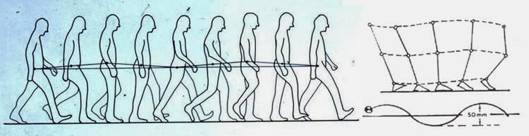 La Marcha Humana: Marcha