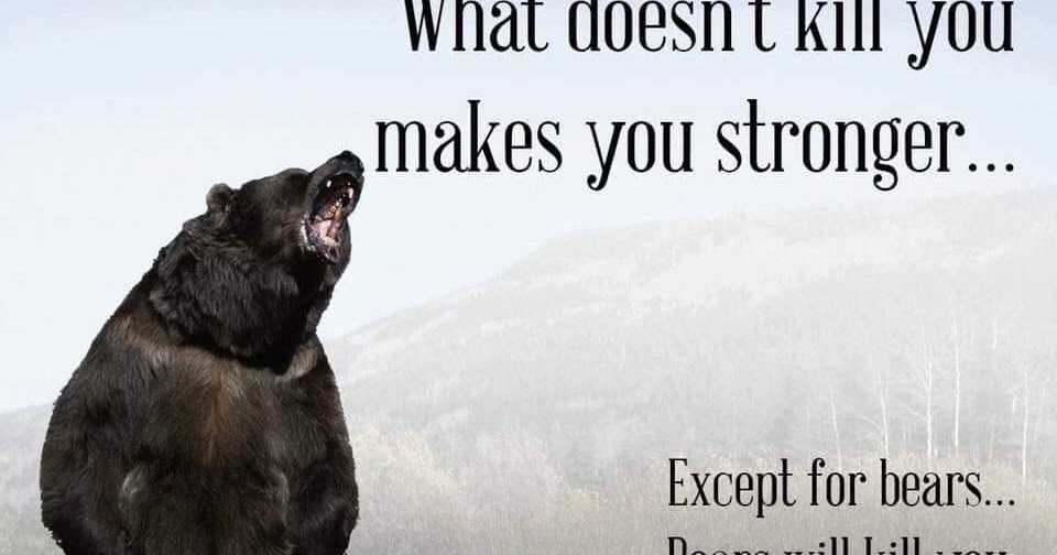 This Is So Gay: Would You Like a Nice Progressive Punch?