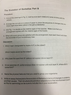 Mrs. Greeley Howard’s Biology Class: Cladogram and Phylogenetic Trees