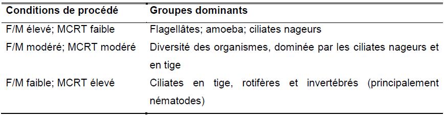 Microbiologie des boues activées | Traitement Des Eaux Usées