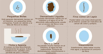 Increible Descubra los secretos de sus heces, podrían decirle mucho más ...