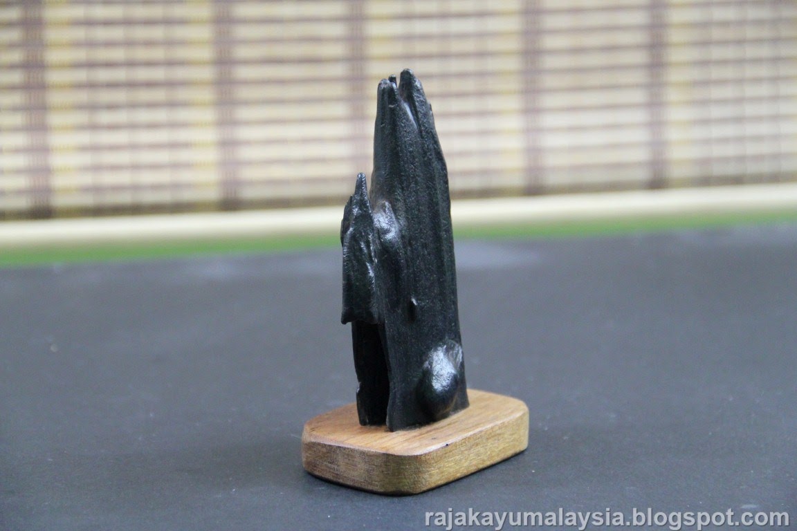 Raja Kayu Malaysia: Top Quality Malaysia Rare Kayu Kemuning Hitam ...
