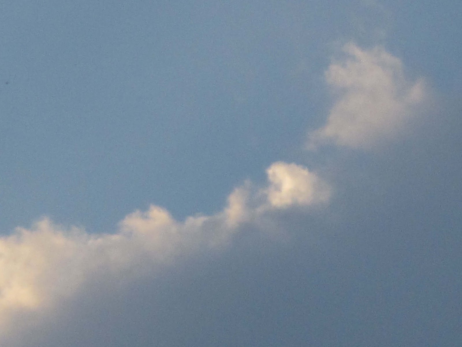 The Blue Triangle Society: What is The Blue Triangle Society?