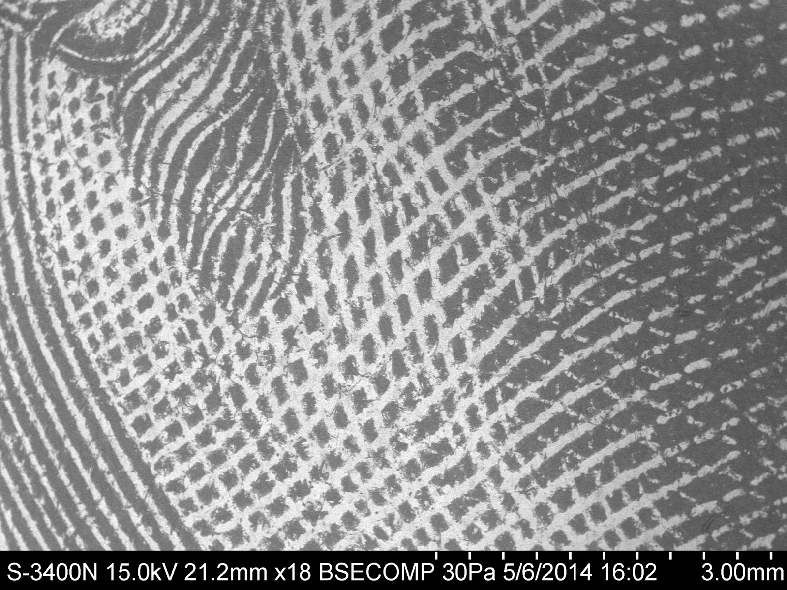 Scanning Electron Microscope Blog: Electron Microscopy and George ...