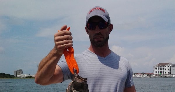 Fin-S Charters, LLC | Morehead City NC Fishing Charters with Capt ...