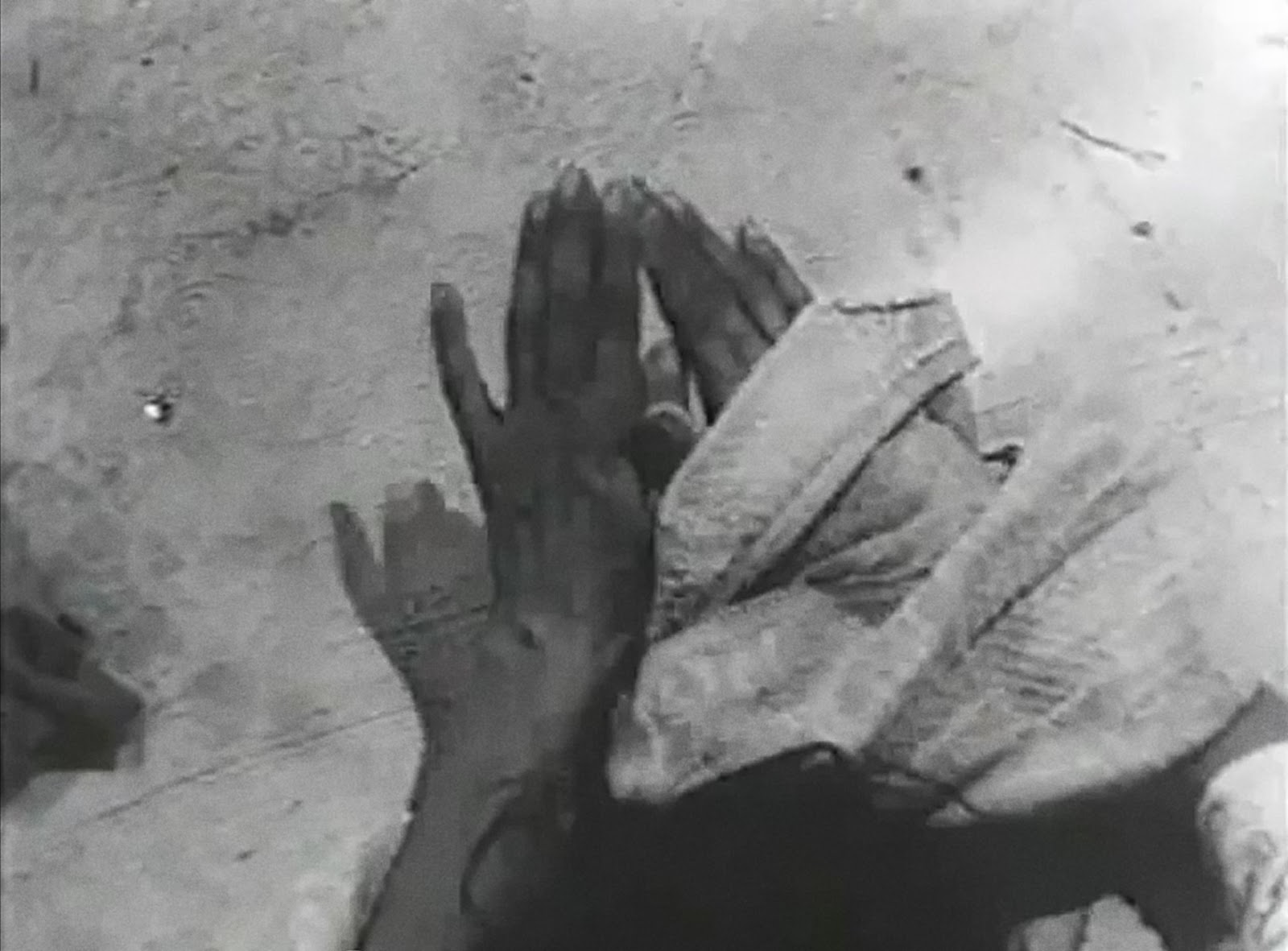 . Y no obstantE: taranta