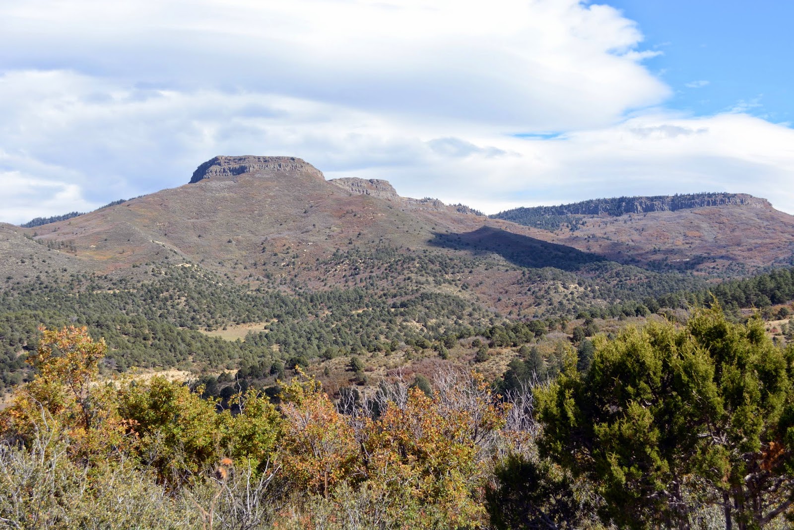 Mille Fiori Favoriti: New Mexico--the Land of Enchantment