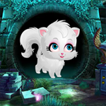 Games4King Cute White Cat Rescue 2018 Walkthrough - Escape Games - New ...