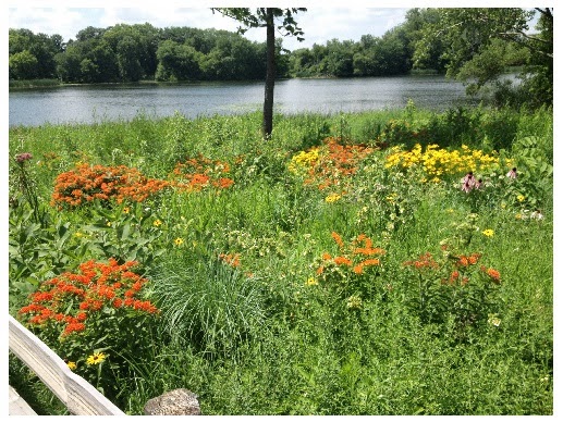 The Ripple Effect: Is it Clear Sailing for Casey Lake?