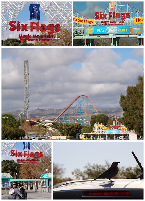 Por que viajamos?: Six Flags