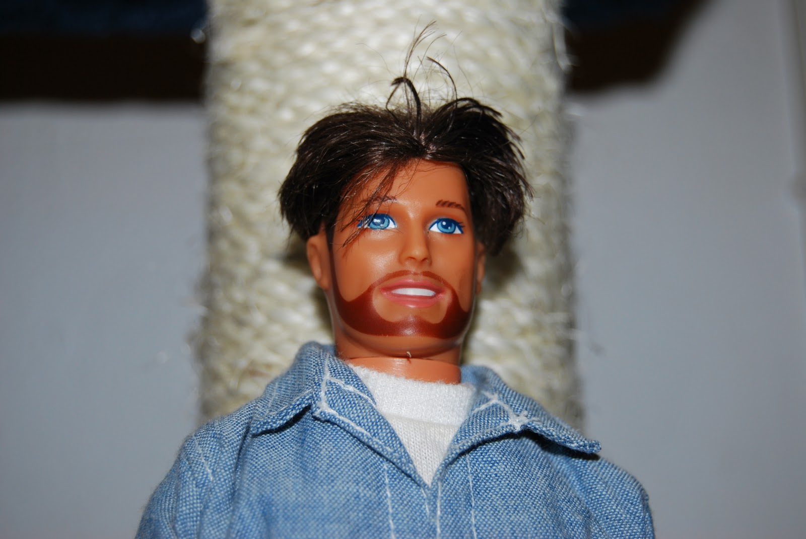 Las Cosas De Sonia: Ken barba magica