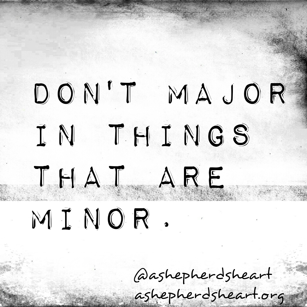 A Shepherd's Heart: Stop Majoring In Things That Are Minor