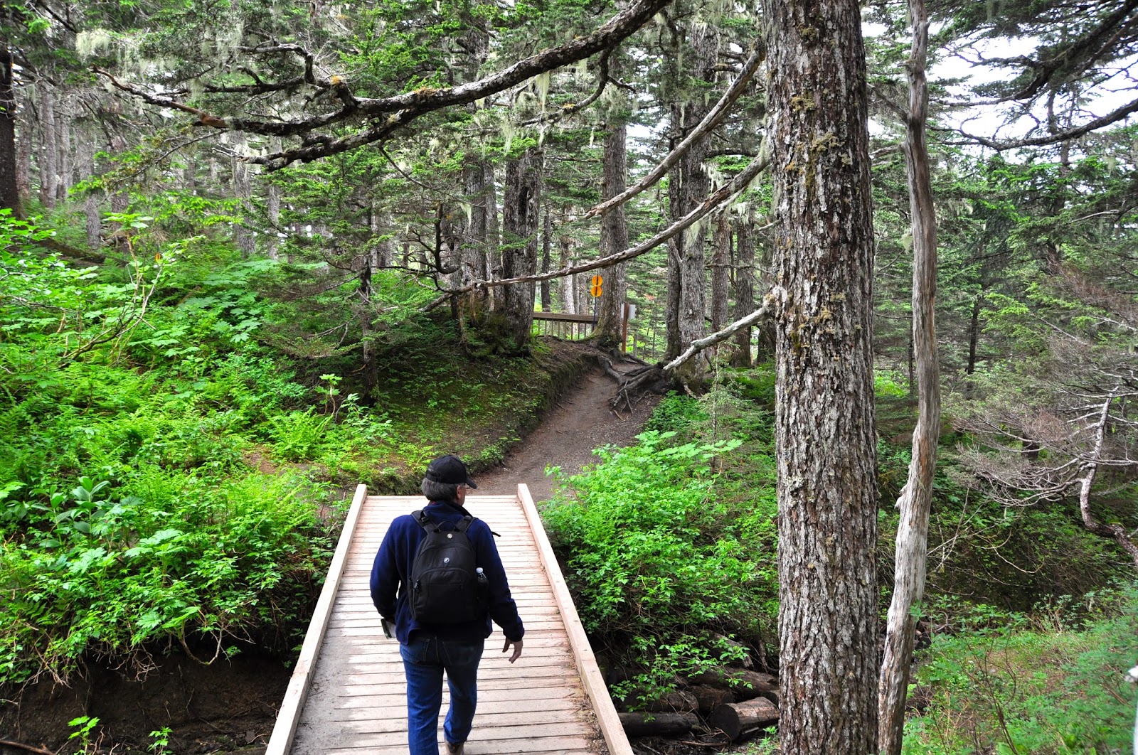 Summer Solstice in the Last Frontier: JUNEAU