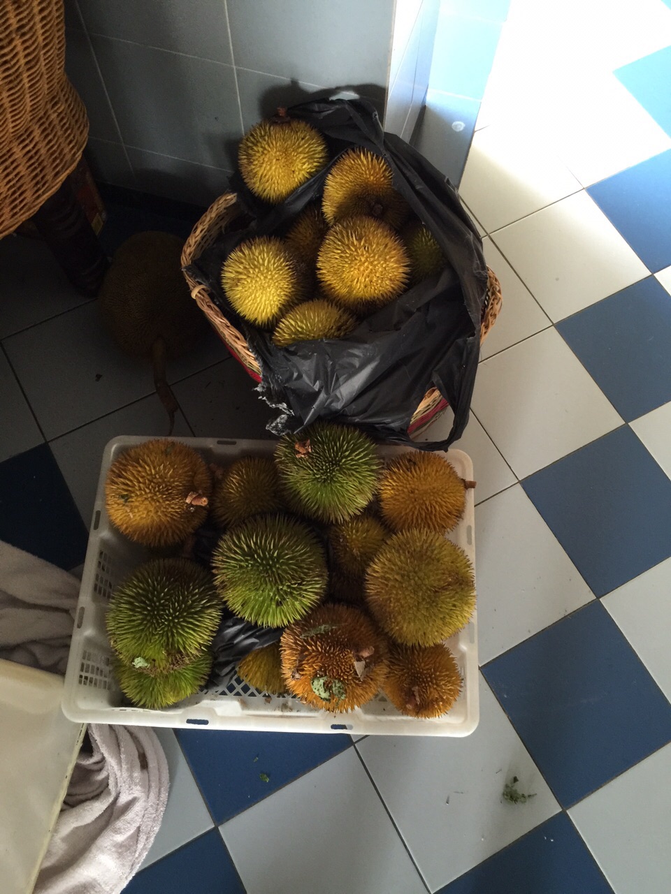 Durianlicious: Red Durian - Myth or Mystery?