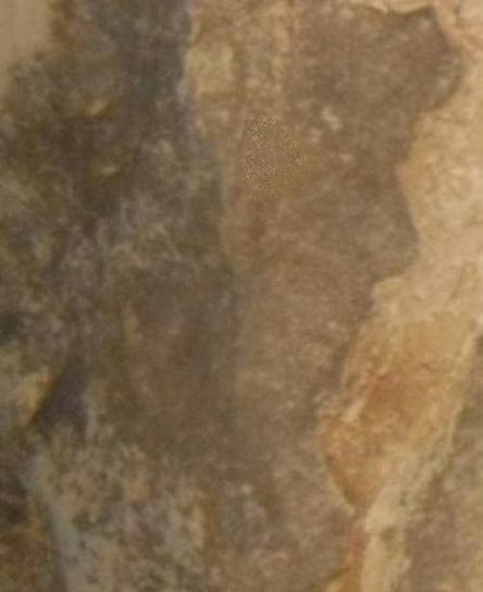 The Great Sphinx of Palawan and Tabon Man: Ancient image challenge #4