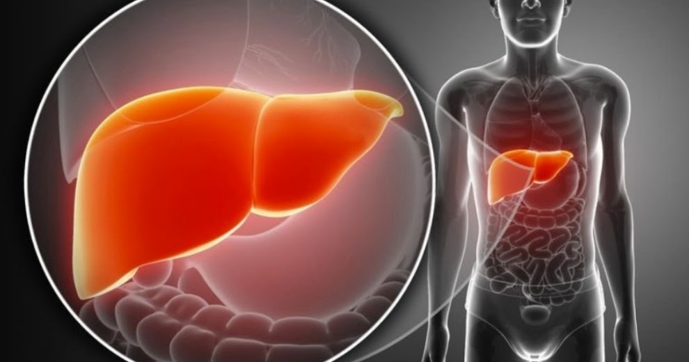 El Magazin de Merlo: Mantener el HÍGADO sano con los alimentos correctos: