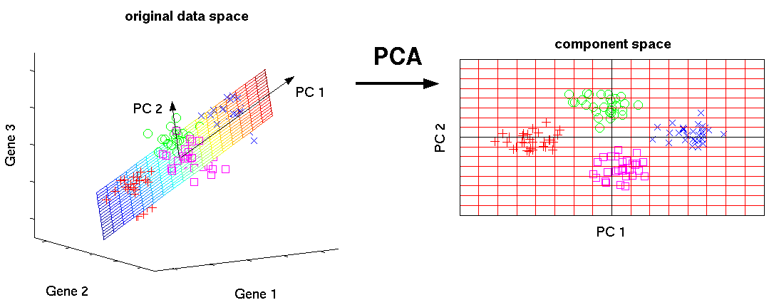 Dimensionality reduction and ordinations in ecology 2: Principal Component Analysis (PCA)