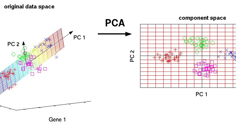 Dimensionality reduction and ordinations in ecology 2: Principal ...