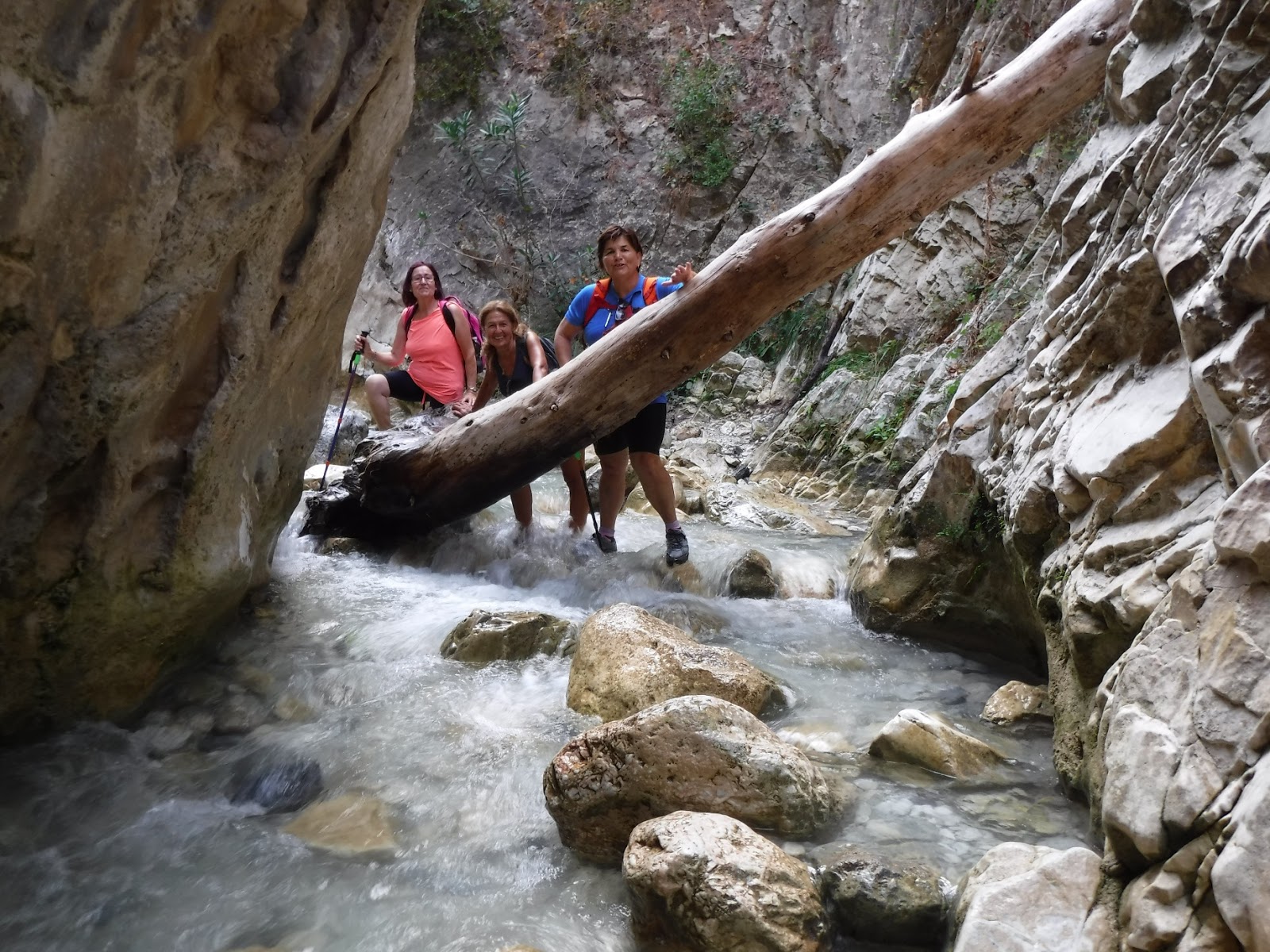 Senderismo Carlos y Petra: SENDERO RIO CHILLAR NERJA