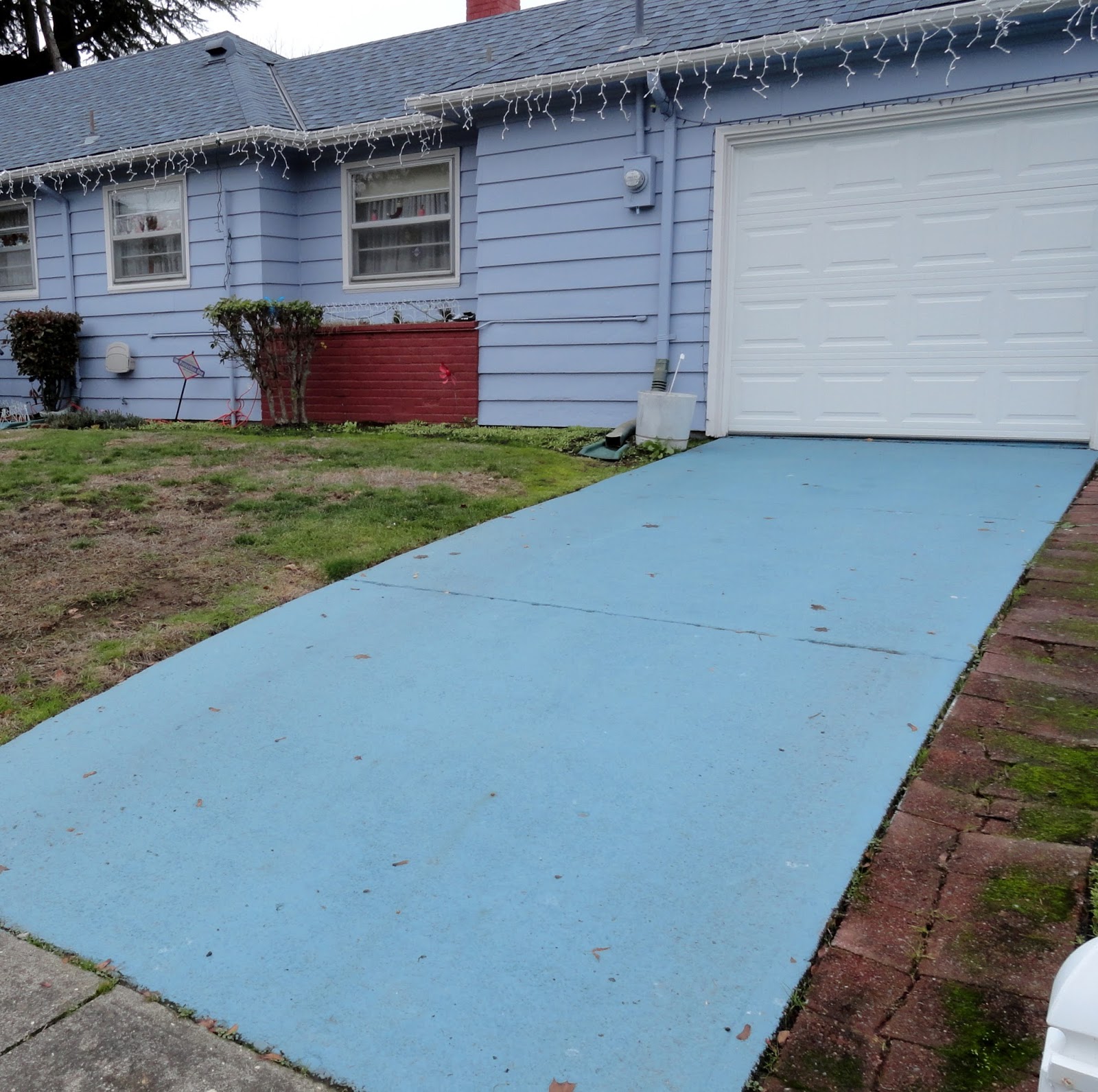 danger garden: Blue? Oh yes I do...