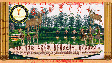 Lộc giác giao my giác giao nhị giả đồng công | Nhà Thuốc Tân Thành Đường