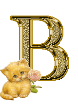 1000+ images about ABC Cat's Meow on Pinterest