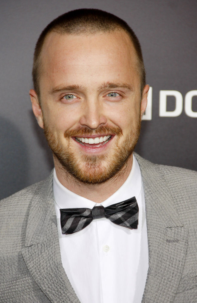 Celebrity Hair Loss: Recession Alert: Breaking Bad's Aaron Paul